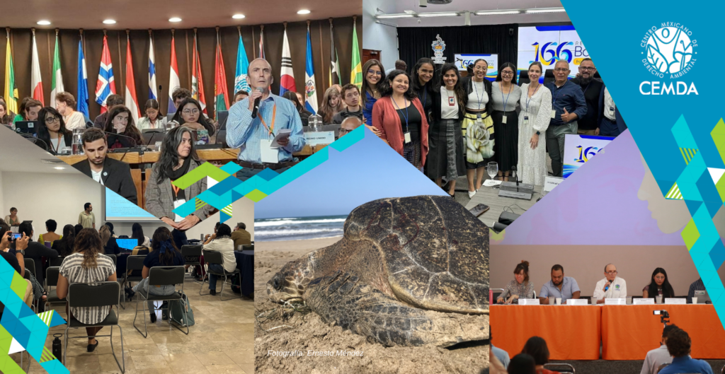 CEMDA | Centro Mexicano de Derecho Ambiental